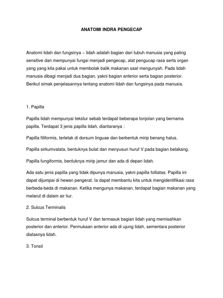 Anatomi Indra Pengecap | PDF