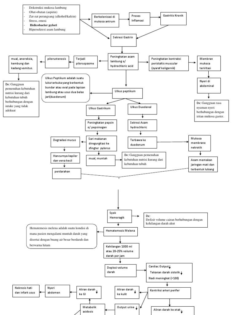 Woc Hematemesis Melena | PDF