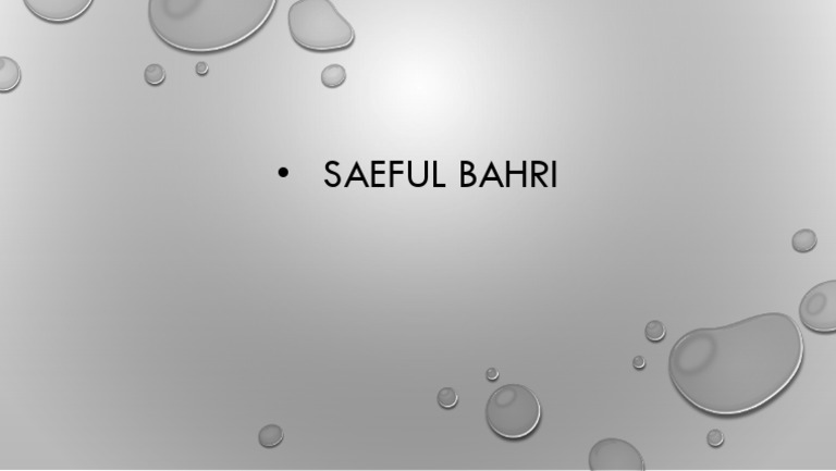 Saeful Bahri: Profile Overview | PDF