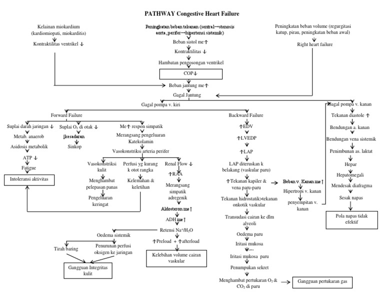 Pathway Gagal Jantung | PDF