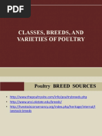 Essential Gamefowl Bloodlines Guide | PDF | Birds | Tetrapods