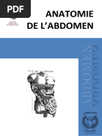 Anatomie Topographique de La Cavité Abdominale Et Péritonéale | PDF ...