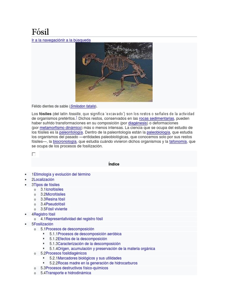 Tipos y ejercicios sobre fósiles | PDF | Fósil | Paleontología