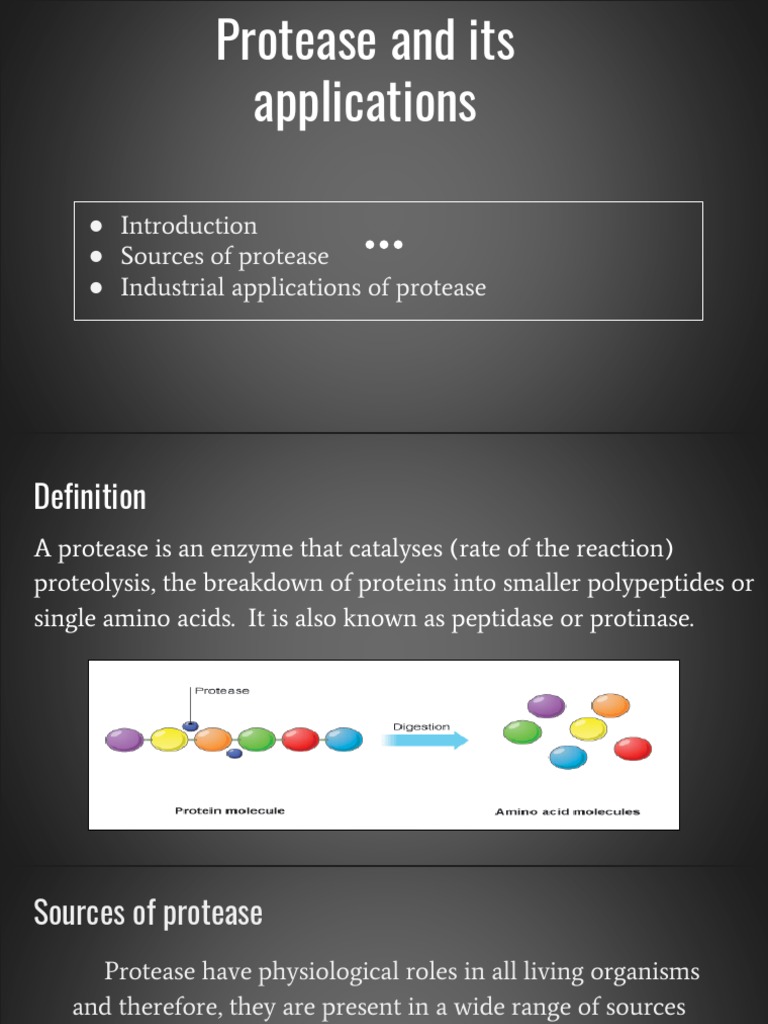 Protease and Its Applications | PDF | Protease | Molecular Biology