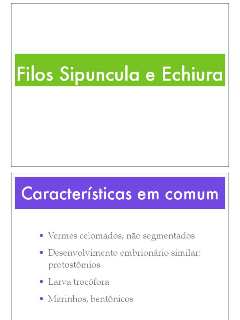 Sipuncula&Echiura Aula6 | PDF | Sistema circulatório | Boca