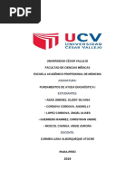 UD4 Bacteriología - Técnicas de Siembra, Aislamiento y Recuento | PDF | Las bacterias ...