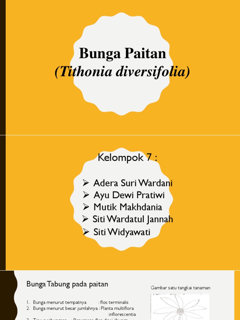 Struktur dan Jenis Bunga Paitan | PDF