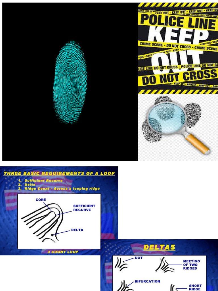 Final Classification | PDF | Fingerprint | Materials
