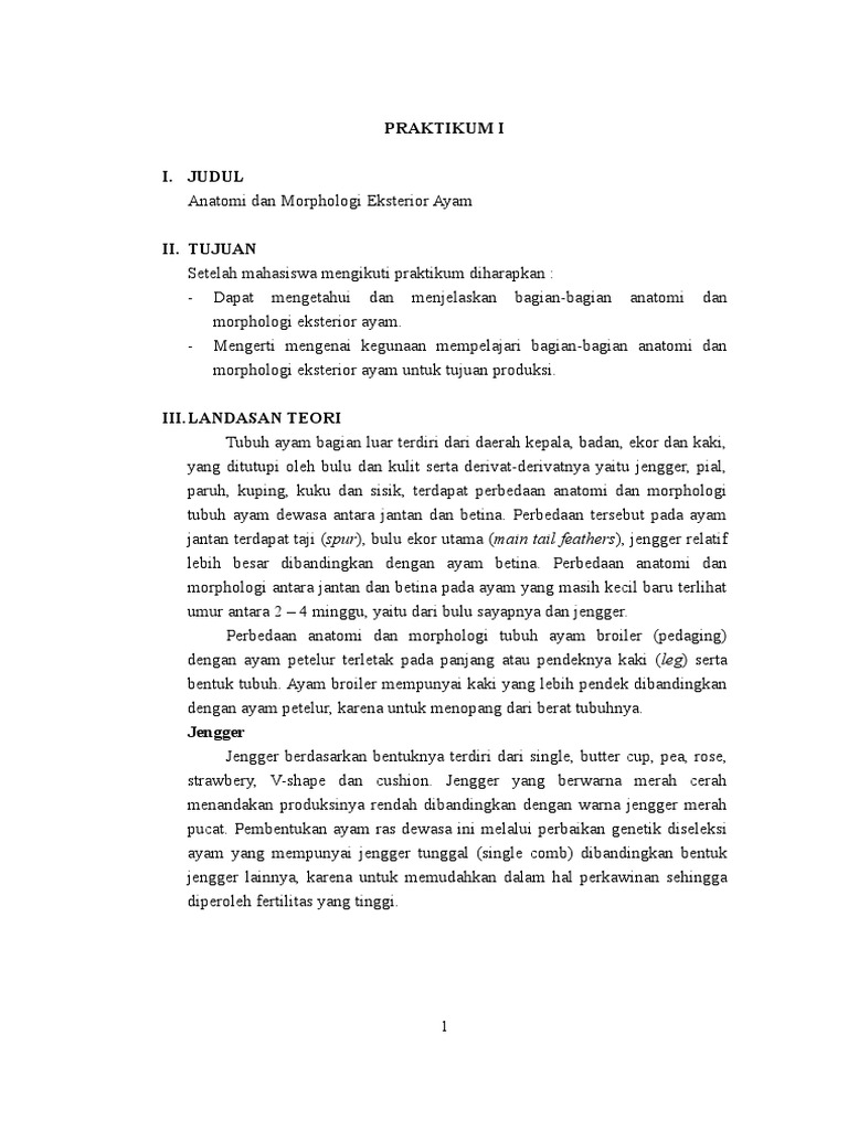 Anatomi dan Morfologi Ayam | PDF