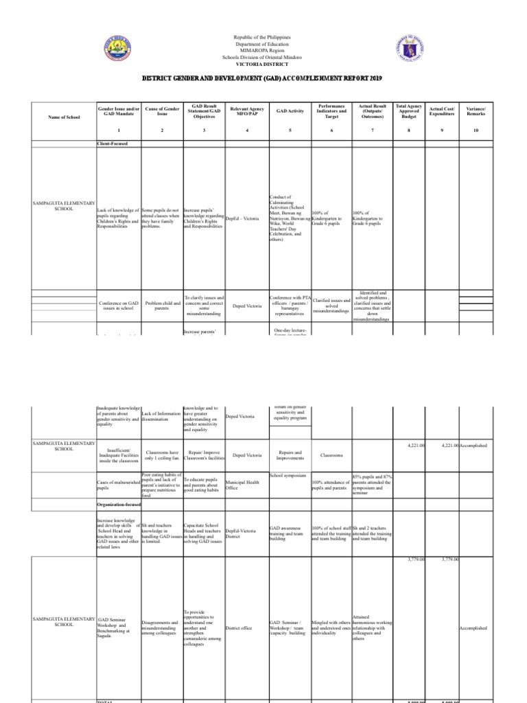 2018 Accomplishment 2019 District Gad Plan Budget | PDF | Gender Equality | Gender Studies