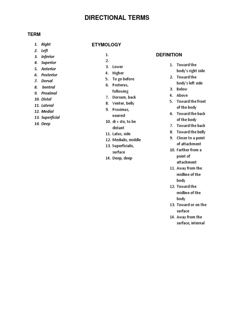 Directional Terms: Term Etymology | PDF
