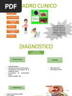 Acino Pulmonar y Enfisema | PDF | Ciencia y matemáticas