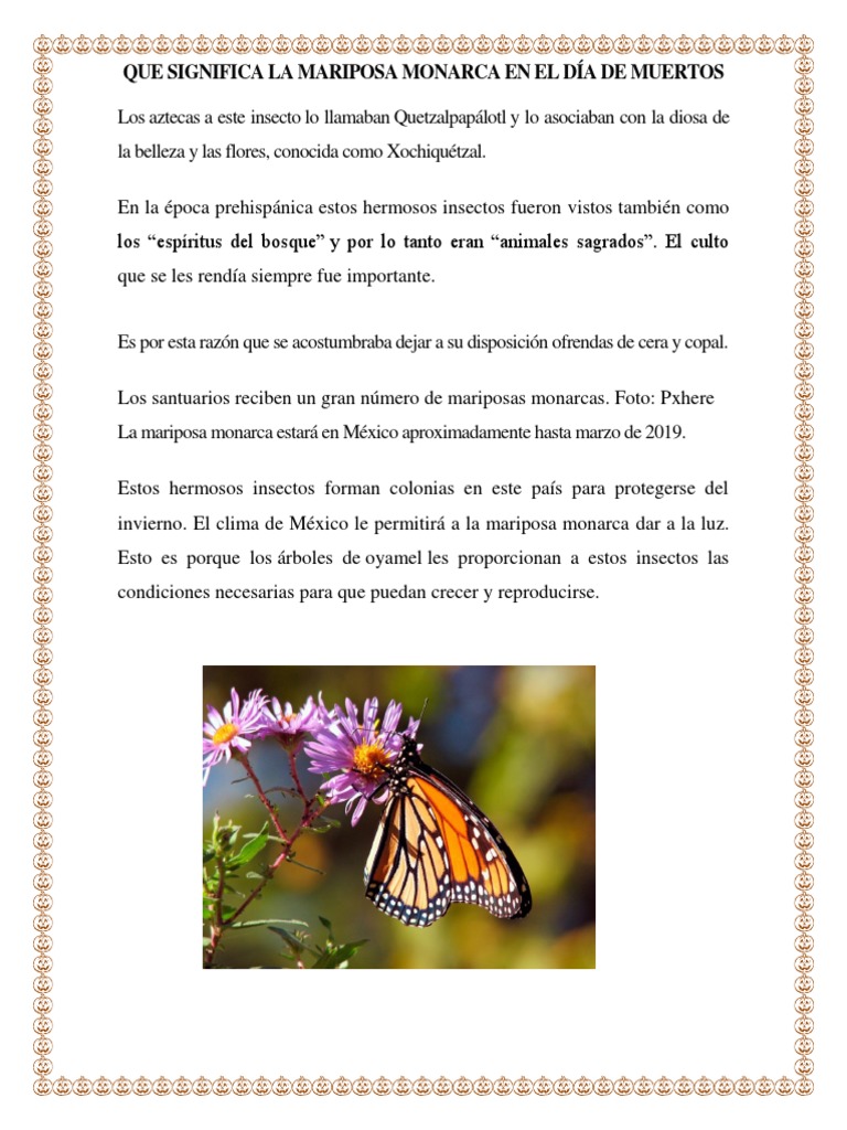 Que Significa La Mariposa Monarca en El Día de Muertos | PDF