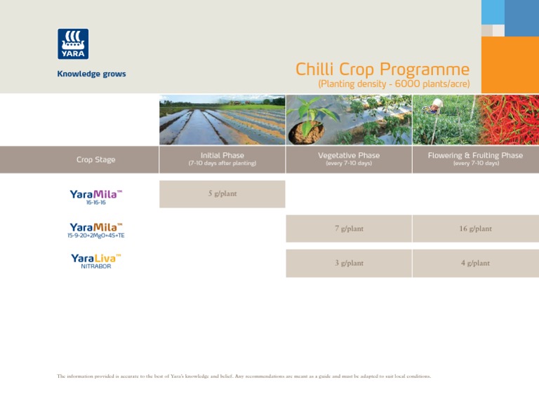 Chilli Crop Programme: Yara Yara | PDF
