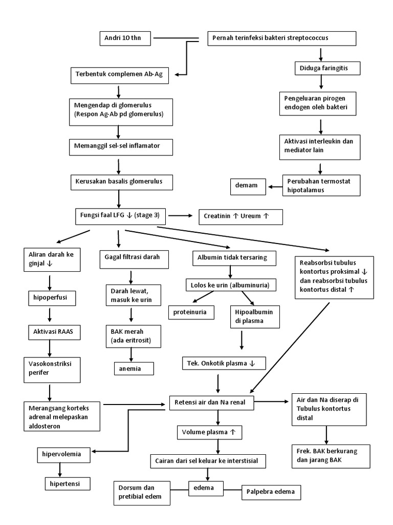 Kerangka Konsep GNAPS | PDF
