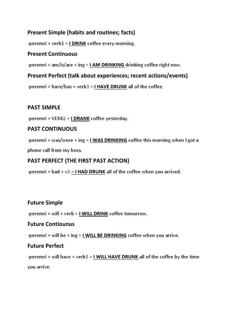 Present Simple Habits Explained | PDF