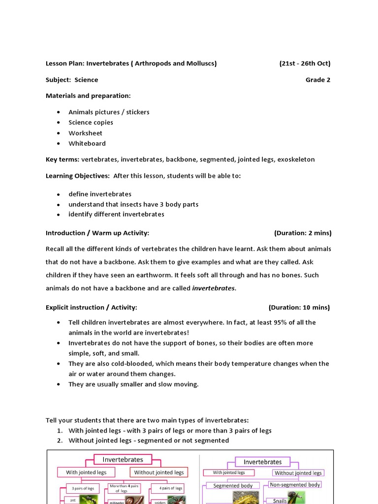 Invertebrates Lesson Plan for Grade 2 | PDF | Invertebrate | Insects