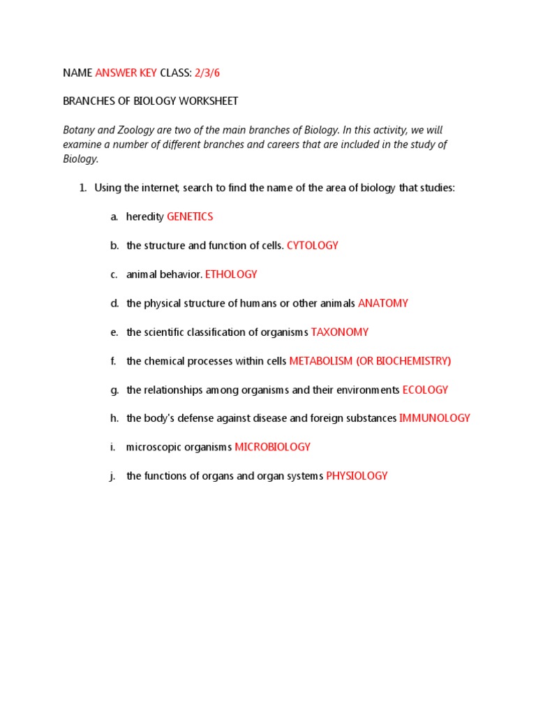 Branches of Biology Worksheet Answer Key | PDF