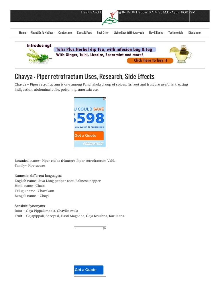 Chavya - Piper Retrofractum Uses, Research, Side Effects | PDF ...