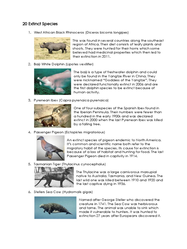 20 Extinct Animals | PDF | Extinction | Mammals