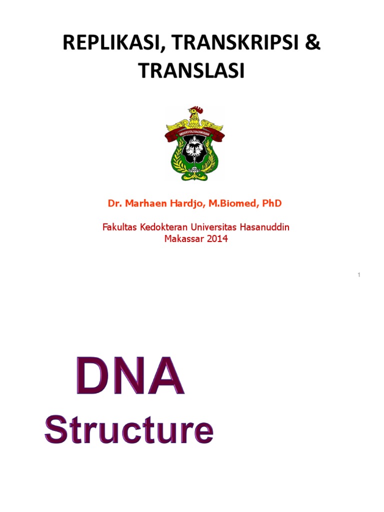 DNA Replication, Transcription, Translation | PDF | Translation ...