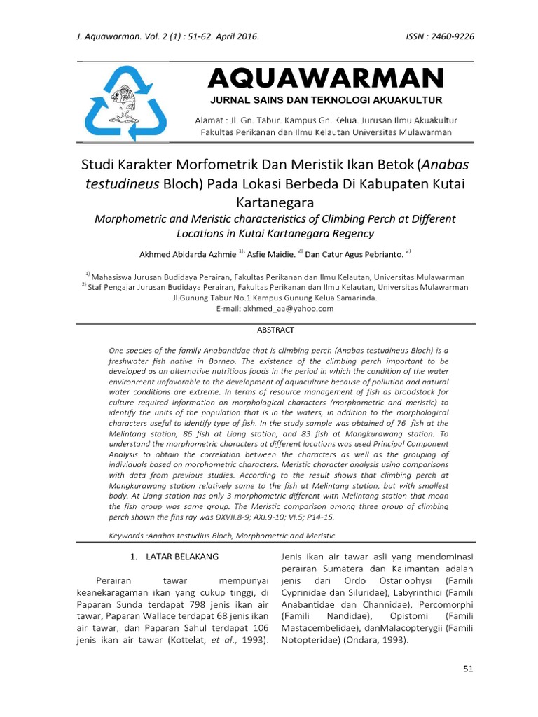 Karakter Morfometrik Ikan Betok di Kalimantan | PDF | Fish | Aquatic ...