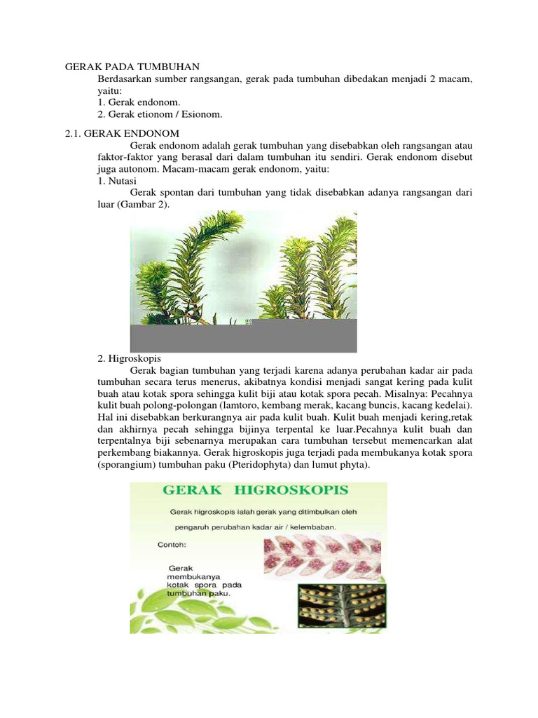 Gerak Pada Tumbuhan | PDF