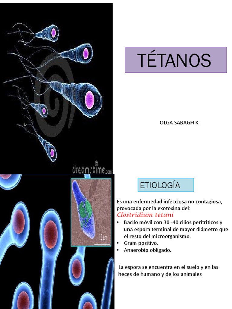 Tetanos | PDF | Medicina CLINICA | Enfermedades y trastornos