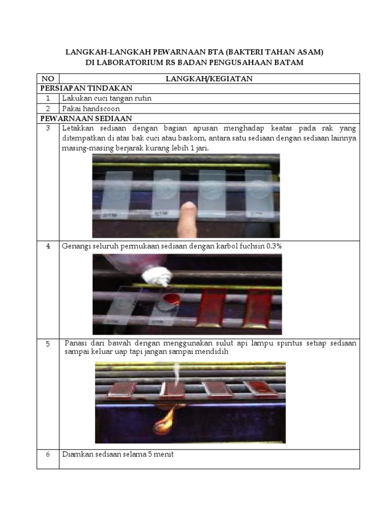 Langkah-Langkah Pewarnaan Bta (Bakteri Tahan Asam) Di Laboratorium Rs ...