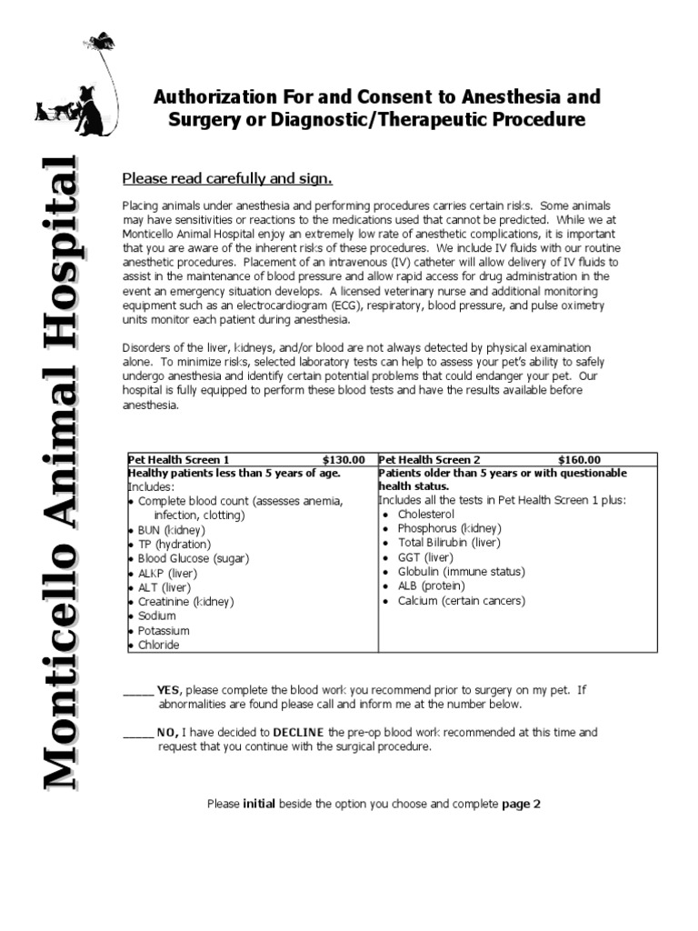 Anesthesia Consent Form | PDF | Anesthesia | Intravenous Therapy