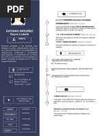 Currículum Vitae Hugo | PDF