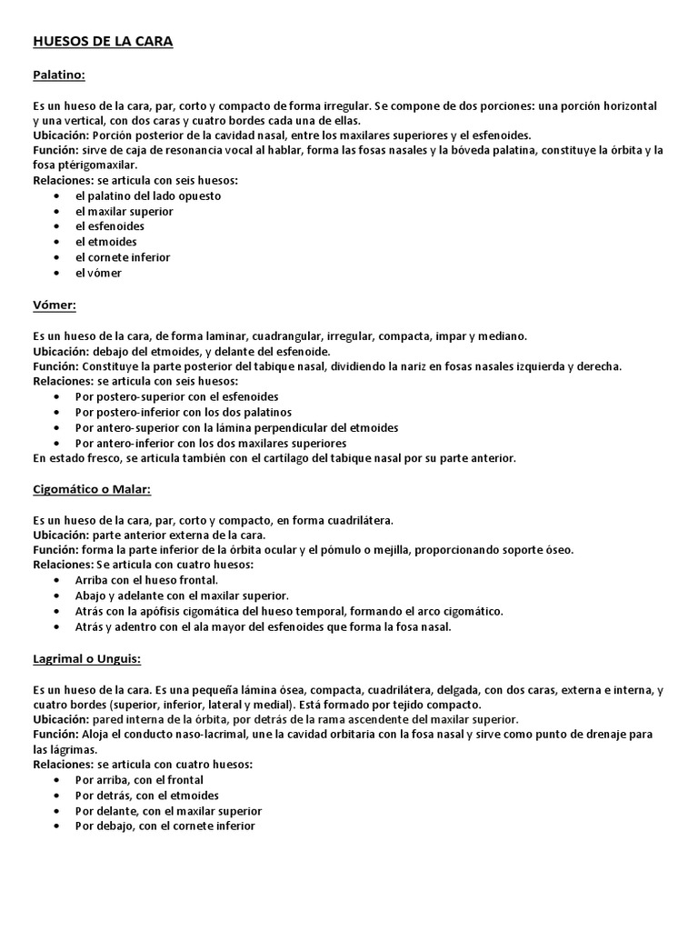 Huesos Del Rostro | PDF | Sistema esquelético | Rasgos faciales