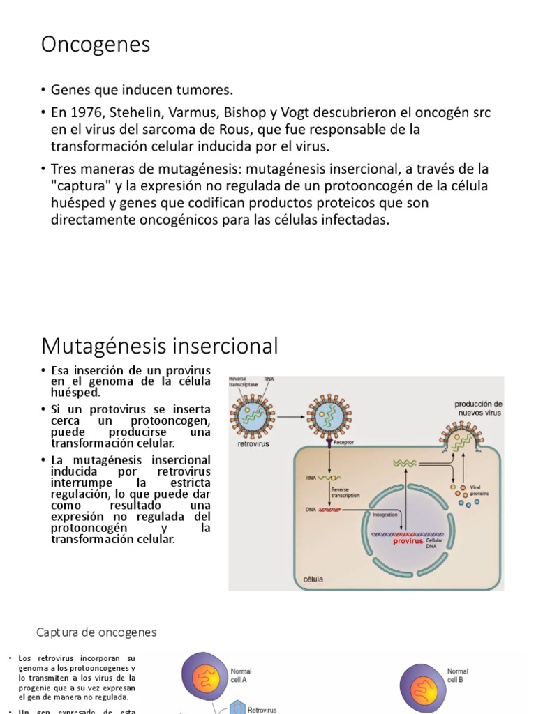 Oncogenes | Retrovirus | Oncogen