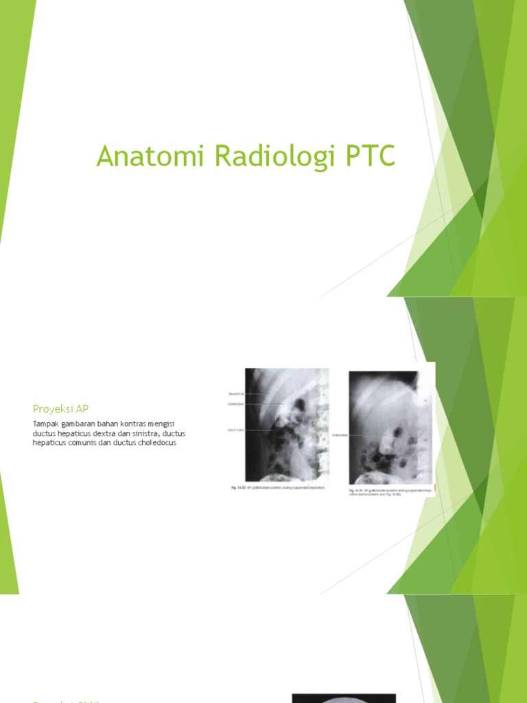 Anatomi Radiologi PTC | PDF
