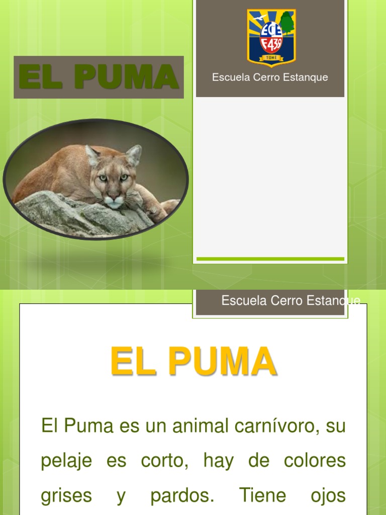 El Puma | PDF