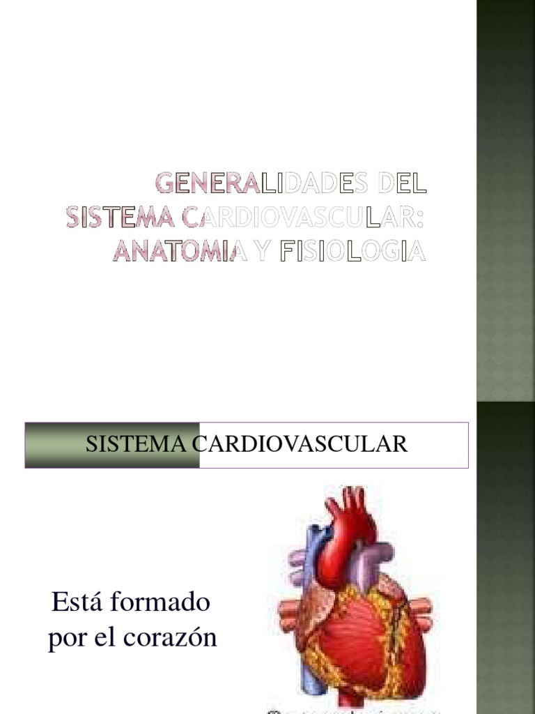 Corazon Generalidades | PDF | Sistema circulatorio | Vena