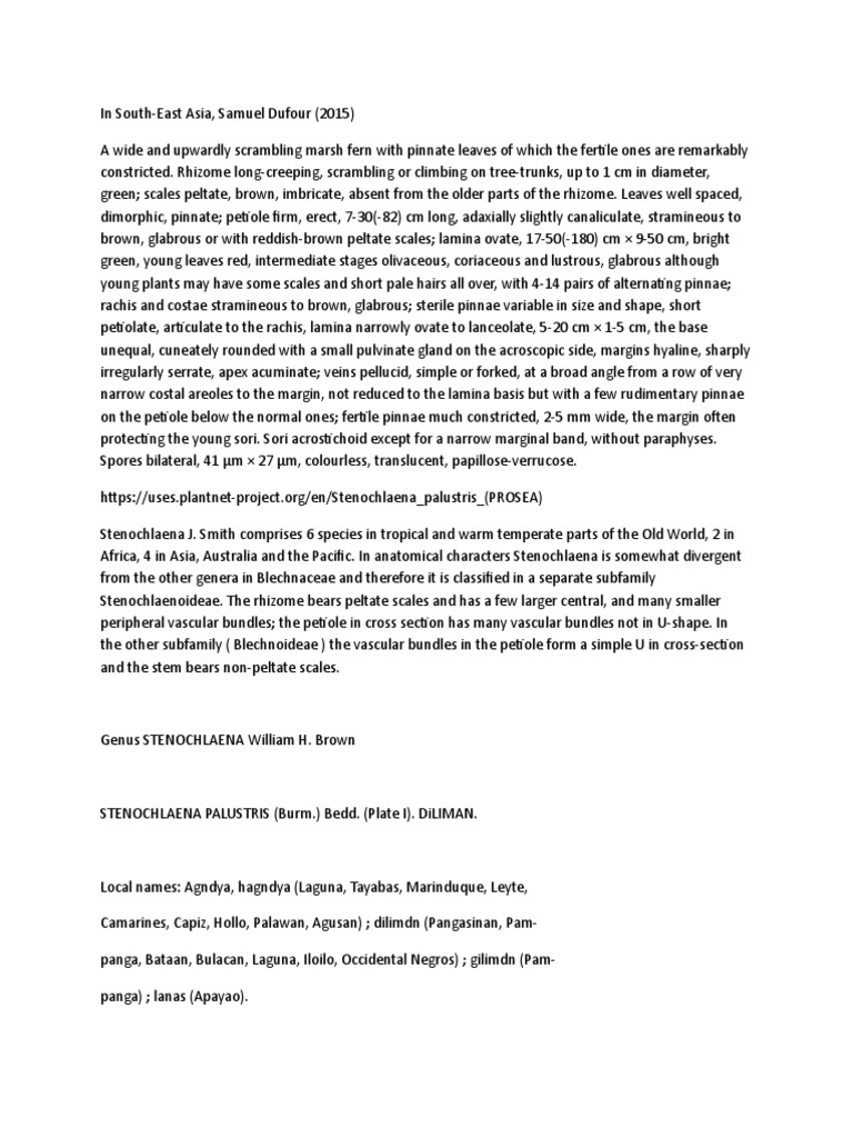 Hagnaya Vine | Download Free PDF | Fern | Leaf