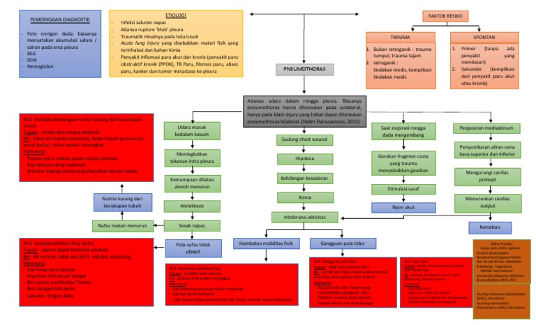 Mapping Pneumothorax | PDF