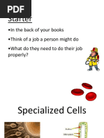 Ap Bio Task Verbs | PDF | Hypothesis | Evidence