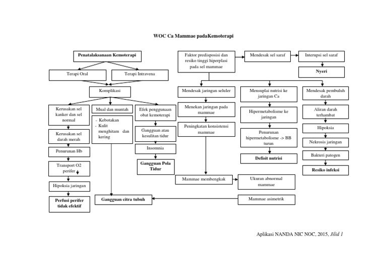 WOC CA Mammae Post Kemoterapi | PDF