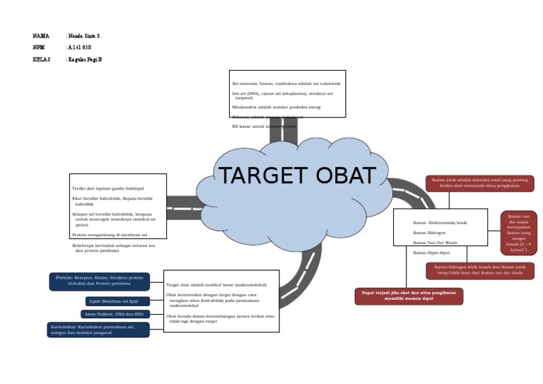 Mind Map Target Obat - Nanda A161038 | PDF