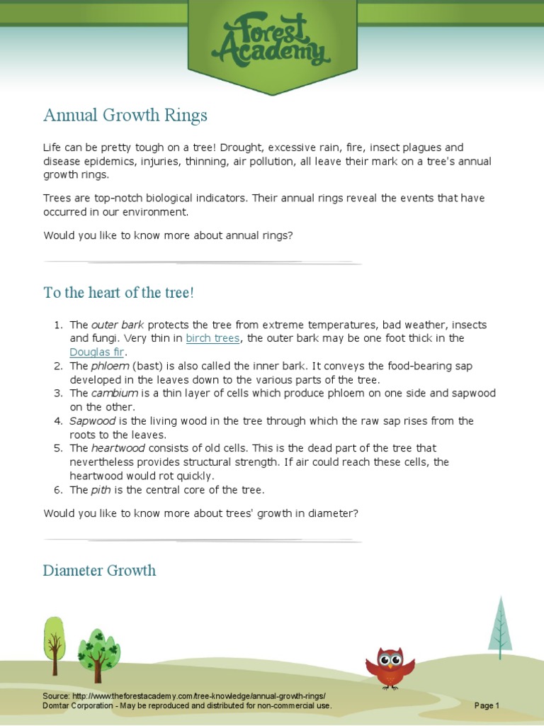 Annual Growth Rings - Tree Knowledge - Booklet - Forest Academy ...