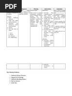 Nursing Care Plan for Pneumonia | PDF | Respiratory Tract | Lung