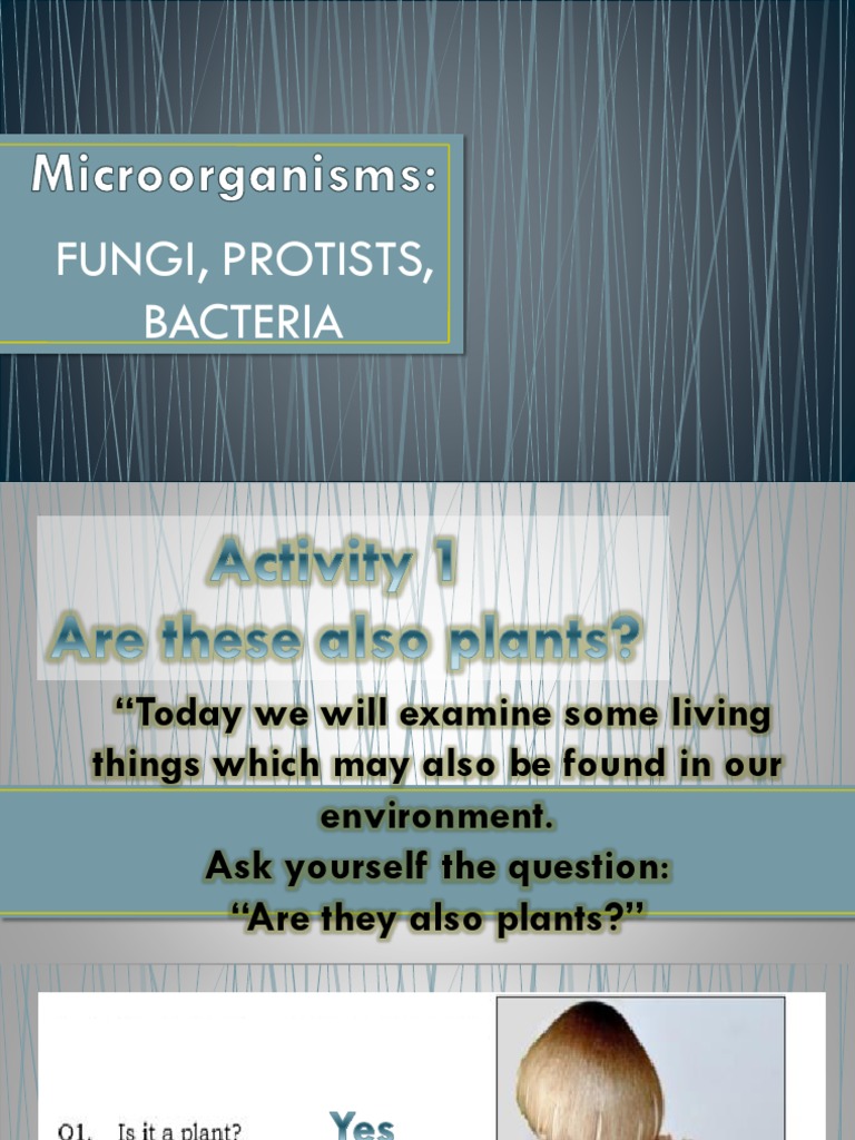 Fungi, Protists, Bacteria | PDF | Fungus | Protozoa