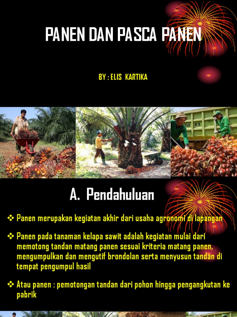 Proses Panen dan Pasca Panen Sawit | PDF | Griya & Taman | Sains ...