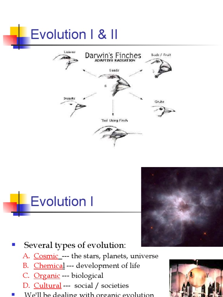 Evolution I & II | PDF | Evolution | Natural Selection