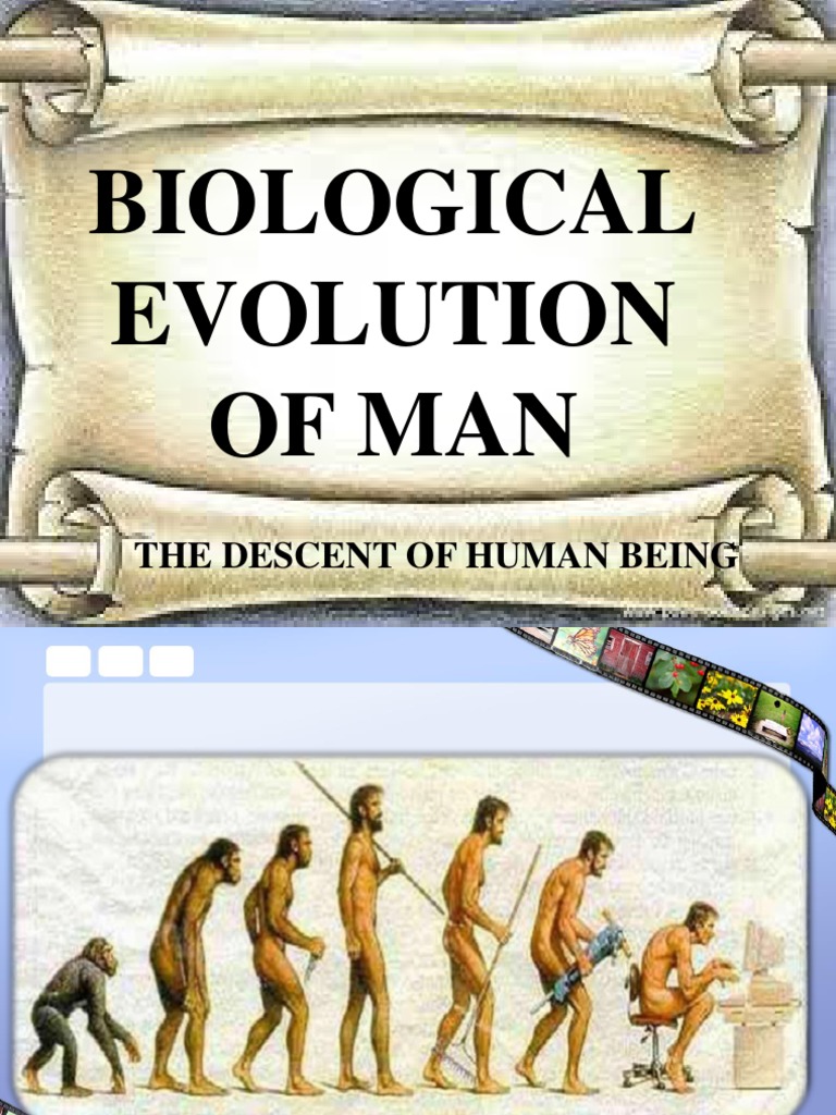 Biological Evolution | PDF