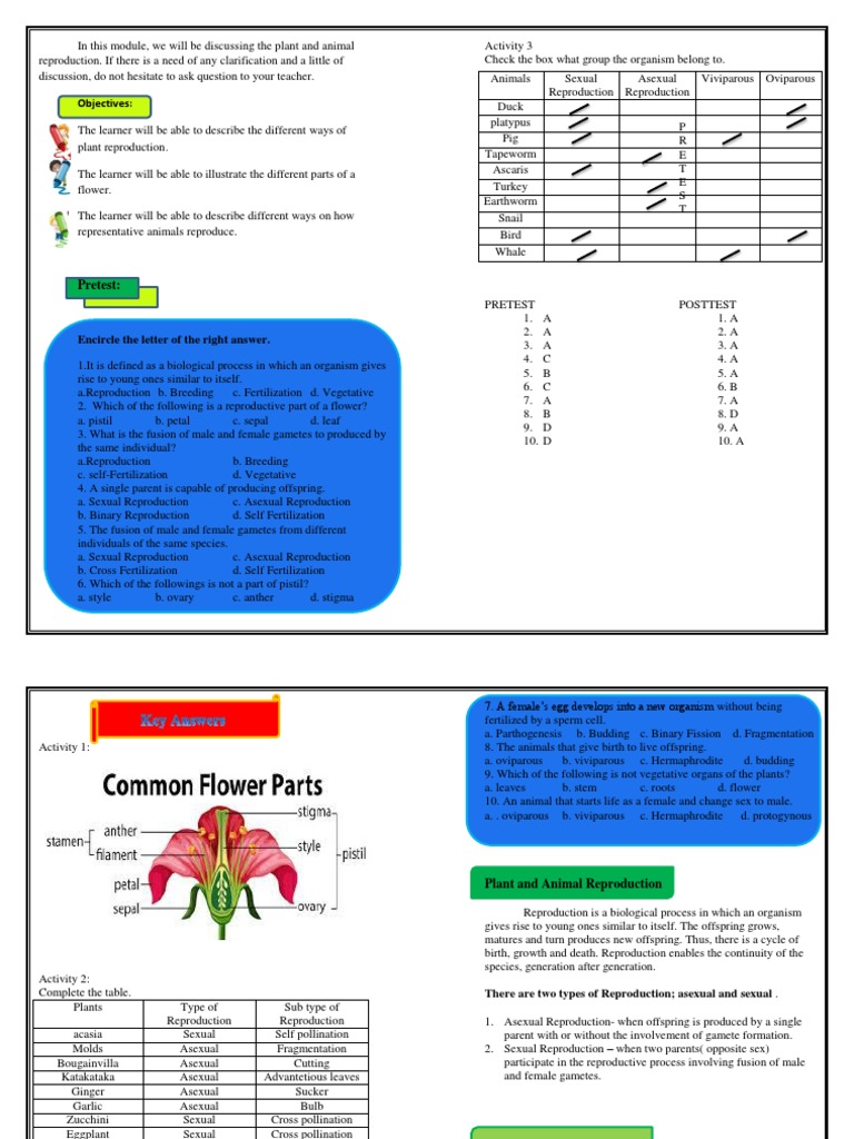 Module On Plant and Animal Reproduction2 | PDF | Reproduction | Sexual ...