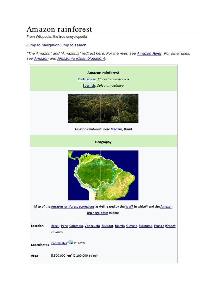 Ama Azon R Rainfor Rest | PDF | Amazon Rainforest | Physical Geography