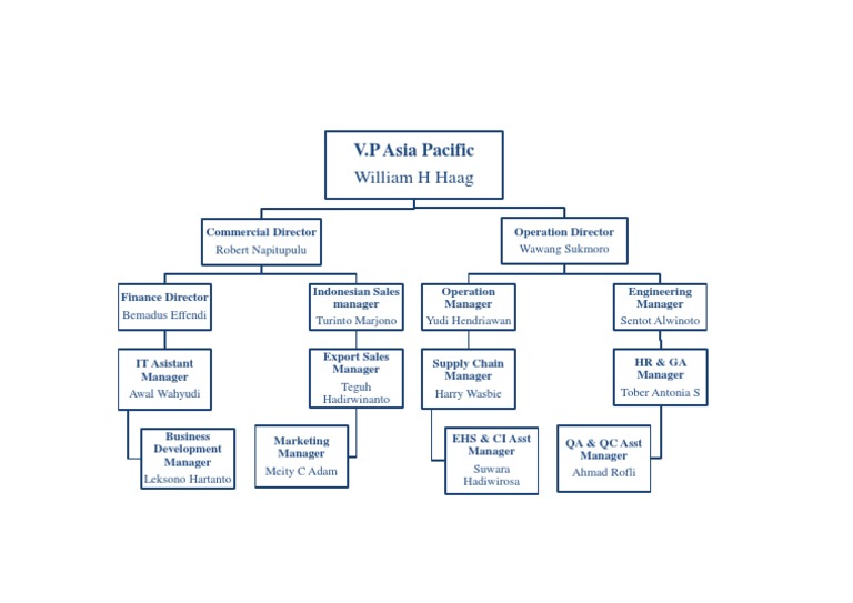 V.P Asia Pacific: William H Haag | PDF